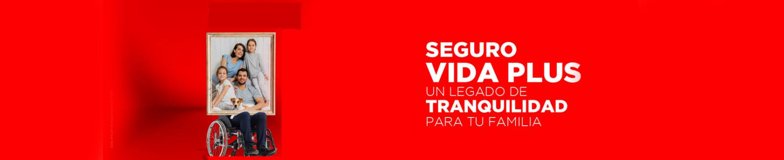 Seguros Vida Plus | Seguros | Banco Económico